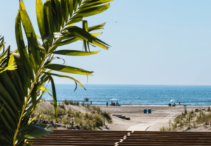 Things To Do In Cape May | Cape May Activities